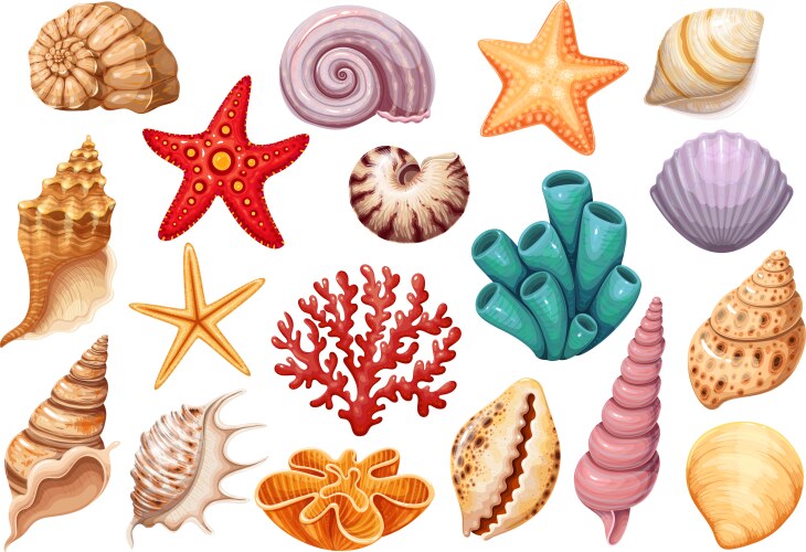 Seashells Vector Images (over 36,000)