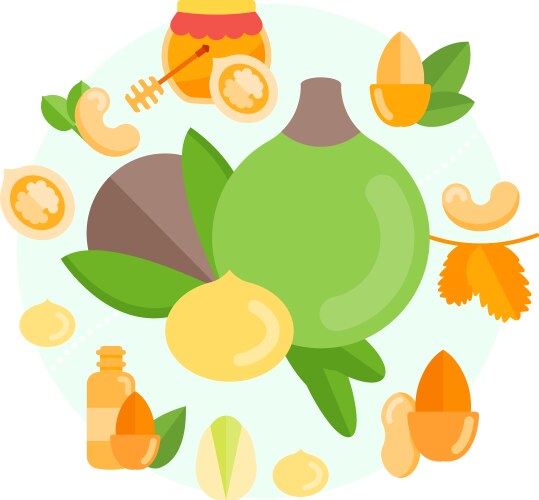 Nuts set Royalty Free Vector Image - VectorStock