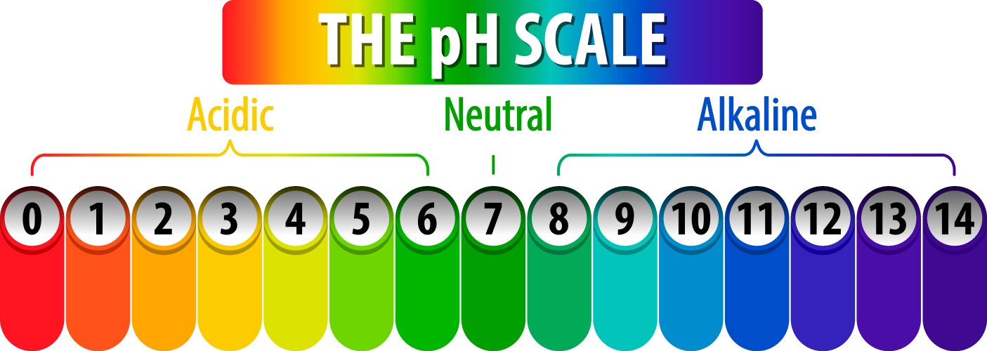Ph scale diagram on white background Royalty Free Vector