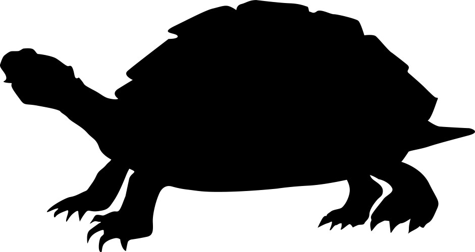 Turtle Stencil Vector Images (90)