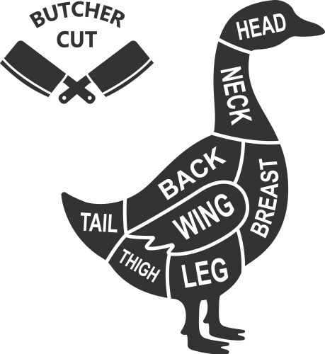 Goose Diagram Vector Images (over 110)