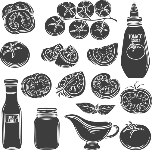 Ketchup sauce bottle with tomatoes drawing Vector Image