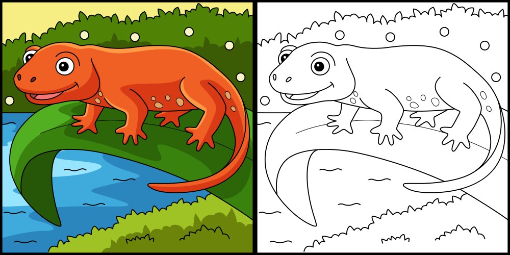 Newt Outline Vector Images (92)
