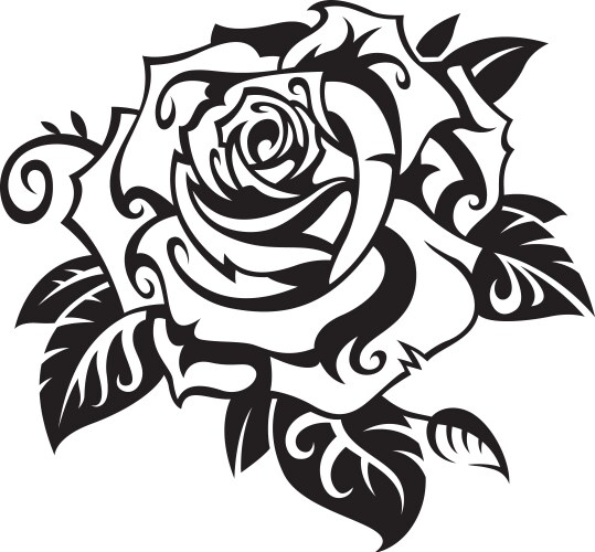 Rose Vector Images (over 330,000)