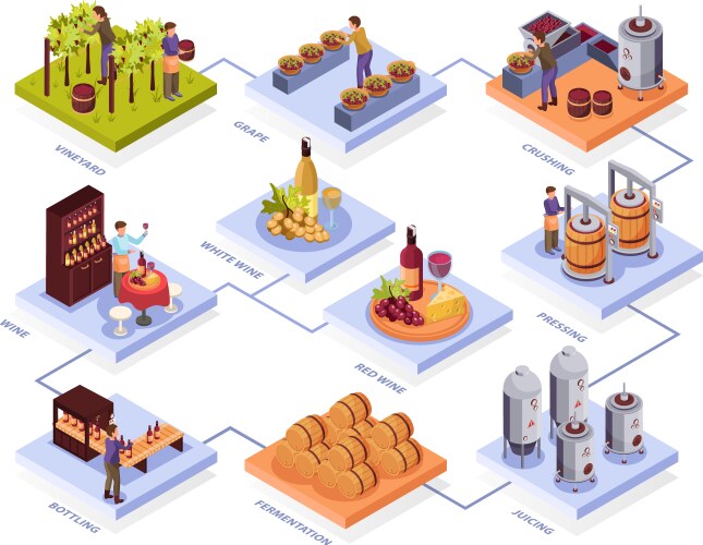 Wine tasting isometric infographics with glasses Vector Image