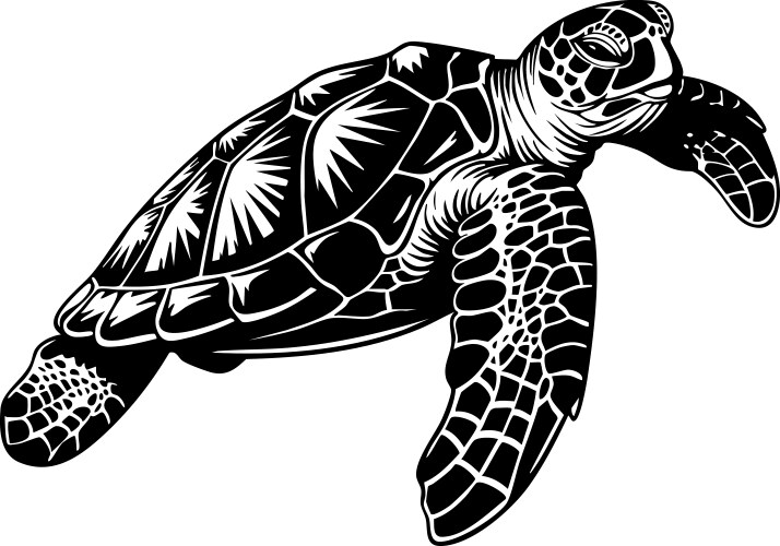 Hawaiian Sea Turtle Clipart Black And White Green Sea Turtle