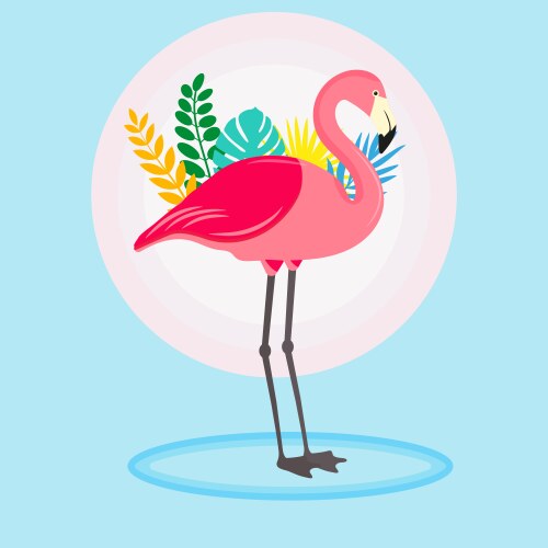 Flamingo Vector Images (over 29,000)