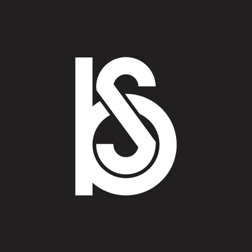 Letter bs geometric line colorful simple logo Vector Image