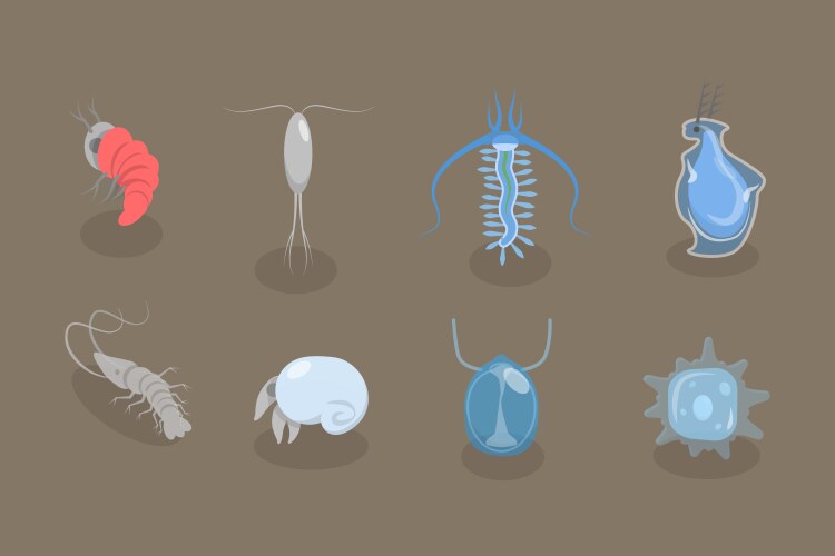 Zooplankton Vector Images (over 450)