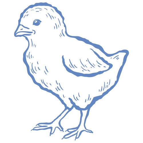 Chick Vector Images (over 39,000)