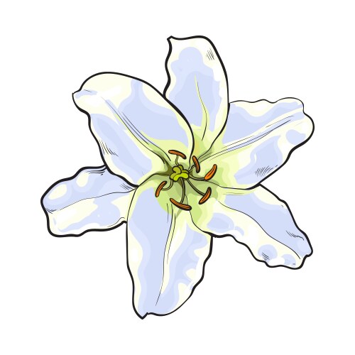 Single Flower Vector Images (over 30,000)