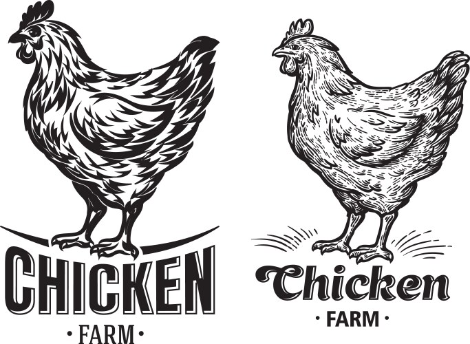 Engraved Chicken Emblem Royalty Free Vector Image