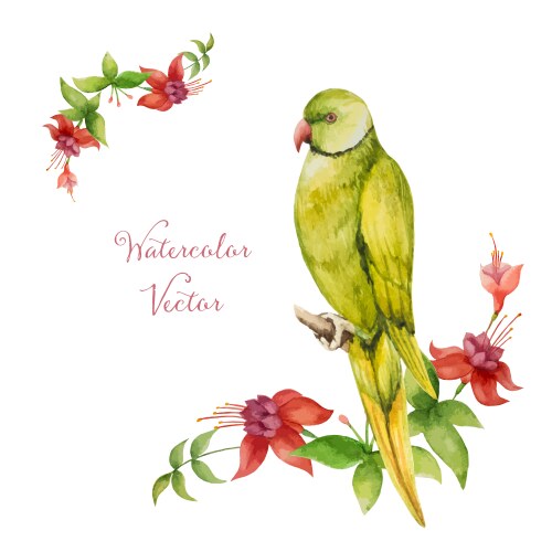 Border template with parrot bird Royalty Free Vector Image