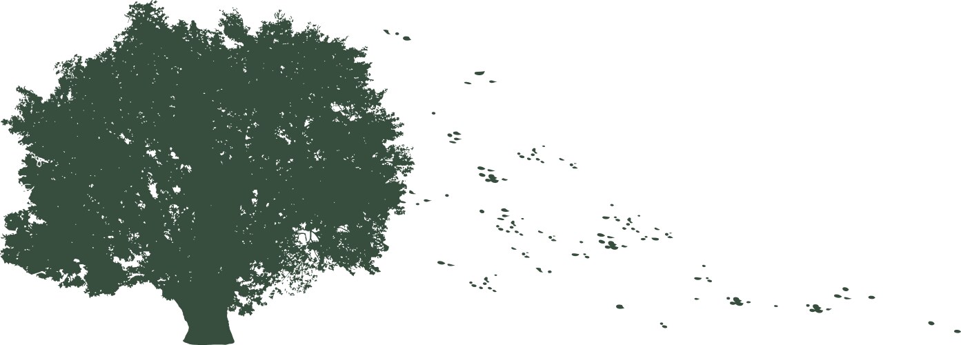 Big tree with leaves Royalty Free Vector Image