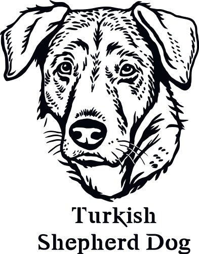 Funny Decals Vector Images (over 33,000)