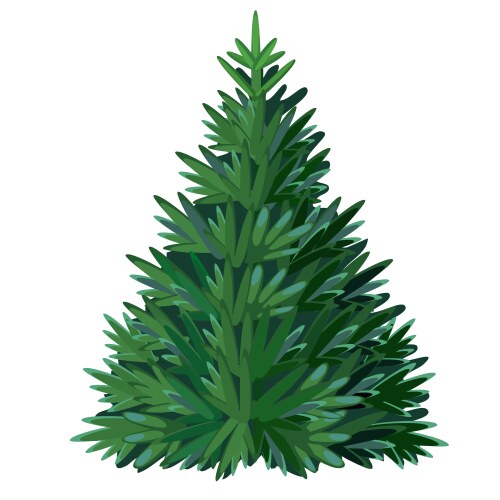 Fur tree Royalty Free Vector Image - VectorStock