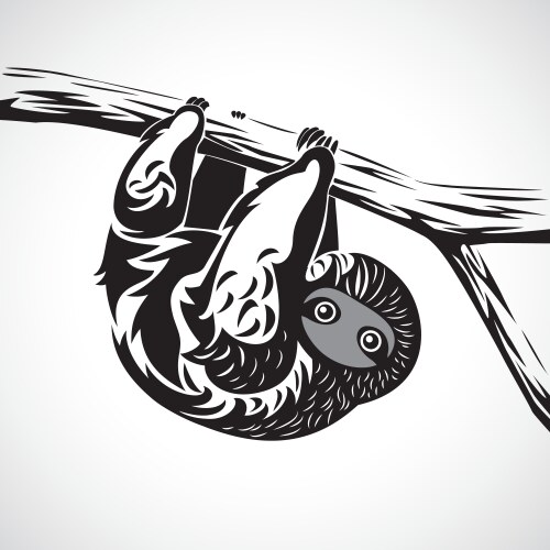 Sloth Vector Images (over 10,000)