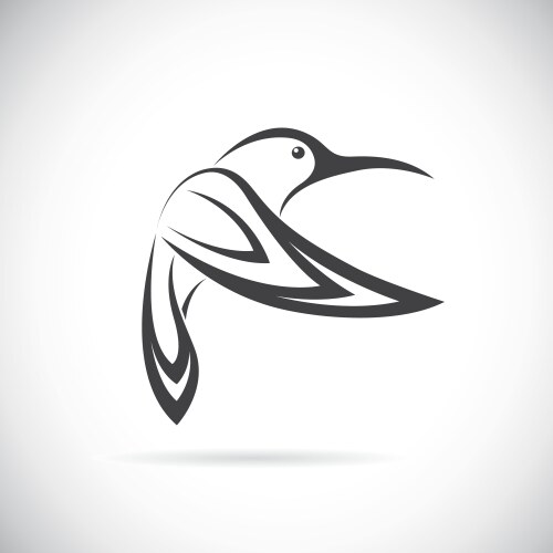 Hummingbird Outline Vector Images (over 2,900)