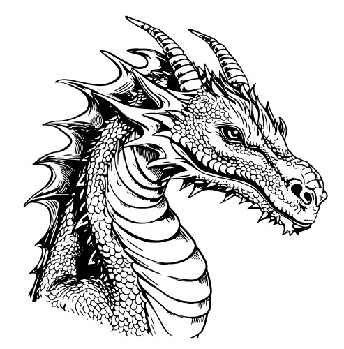 Cute lynx face hand drawn sketch Royalty Free Vector Image