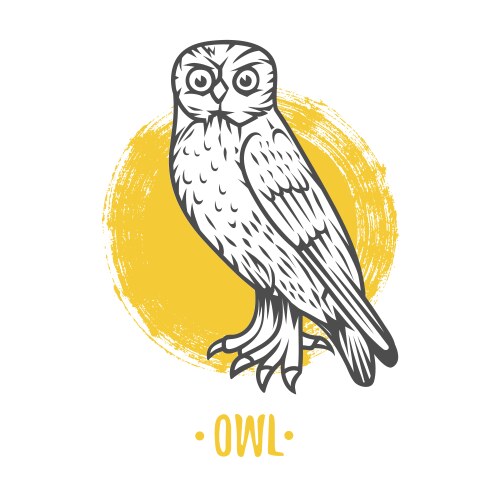 Owl Royalty Free Vector Image - VectorStock