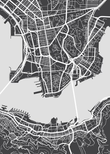 Urban city map mashhad poster grayscale street Vector Image