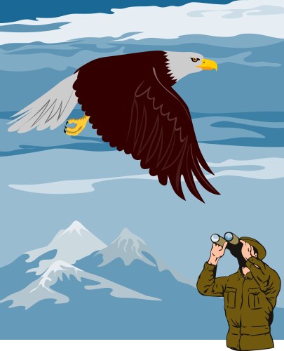 Bald eagle bird set poses Royalty Free Vector Image