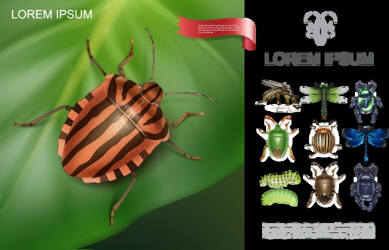 Scene with plants and insects in garden Royalty Free Vector