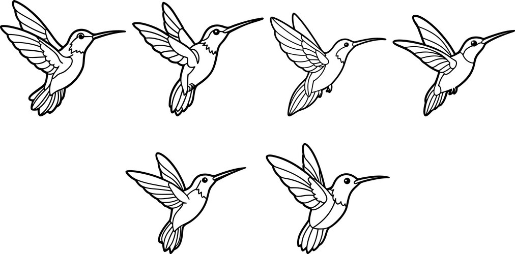 Hummingbird Line Art Logo Set – Royalty-Free Vector | VectorStock