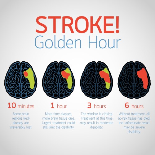Stroke logo icon design medical Royalty Free Vector Image