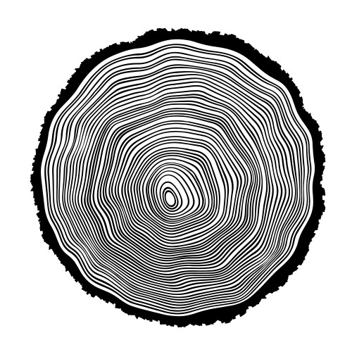 Tree trunk rings design isolated on white Vector Image