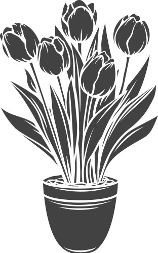 Tulips in a pot Royalty Free Vector Image - VectorStock
