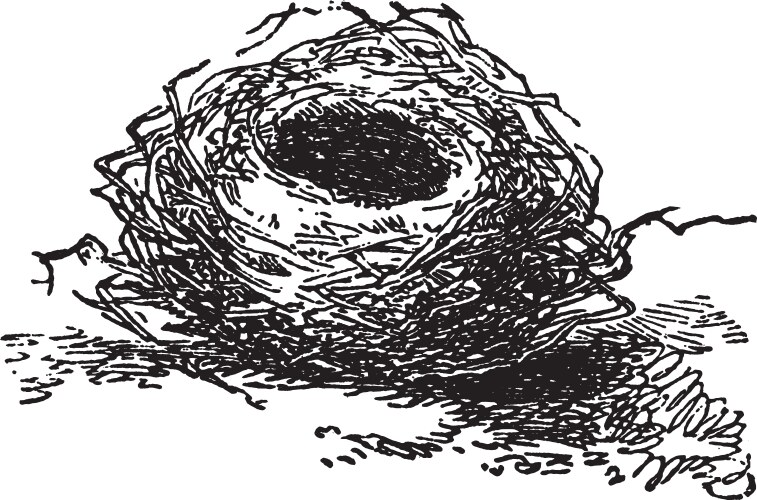 Nest Vector Images (over 32,000)