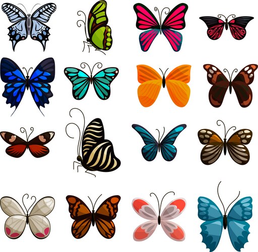 Various cartoon butterflies set Royalty Free Vector Image
