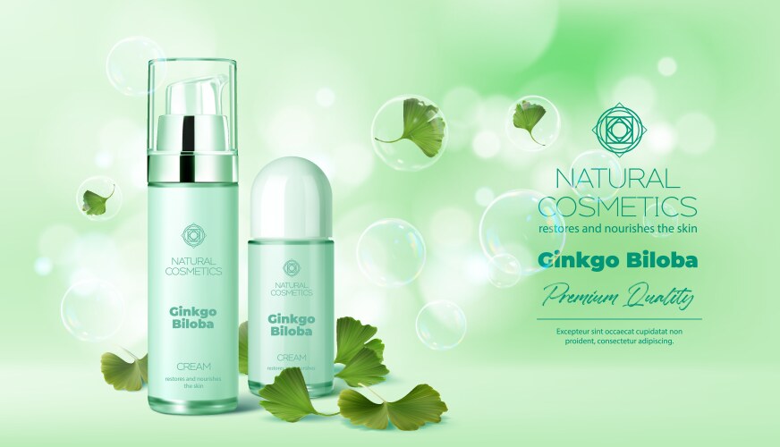 Ginkgo biloba tree leaf Royalty Free Vector Image