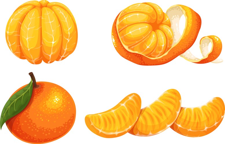 Tangerine Vector Images (over 13,000)