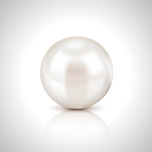 Pearl White Color Vector Images (over 13,000)