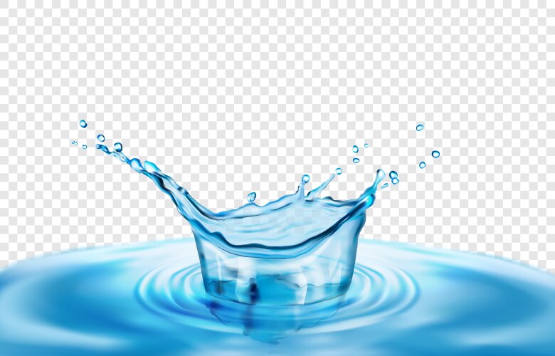 Water splash on transparent background Royalty Free Vector