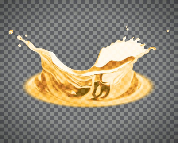 Beer splash isolated on white background Vector Image