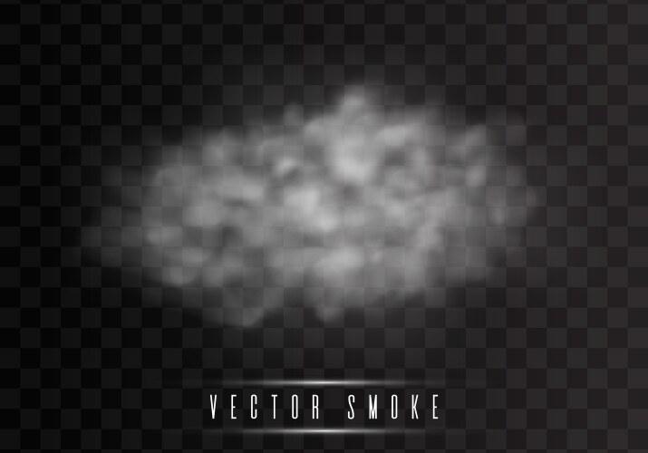 Realistic cloud effect transparent Royalty Free Vector Image