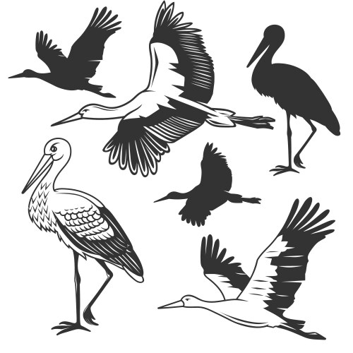 Storks Vector Images (over 9,400)