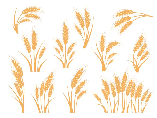 Oat Vector Images (over 18,000)