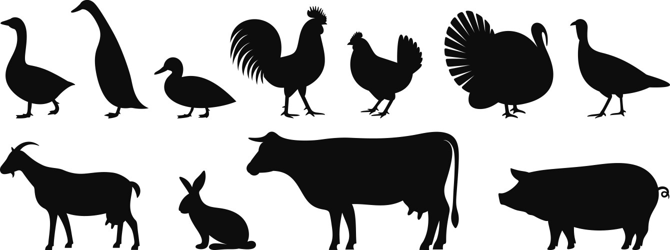 Duck Royalty Free Vector Image - VectorStock