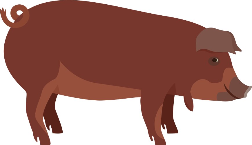 Hog Vector Images (over 15,000)