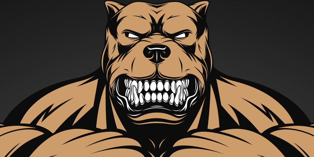 Angry dog bodybuilder Royalty Free Vector Image