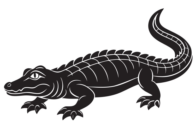 Alligator Clipart Vector Images (over 840)