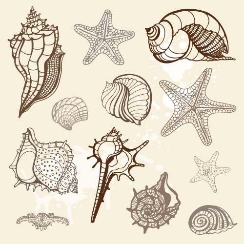 Hand drawing seashell set Royalty Free Vector Image