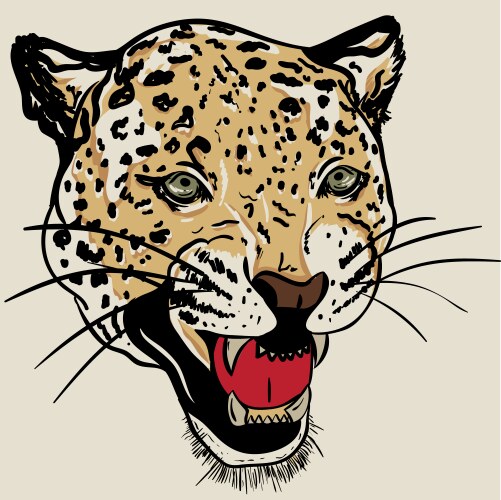 Leopard Face Vector Images (over 4,400)