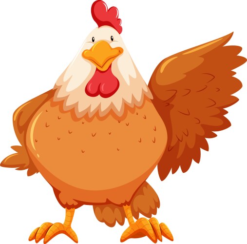 Diagram showing parts of chicken Royalty Free Vector Image