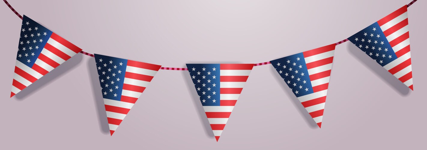 Triangle bunting flags in american national flag Vector Image