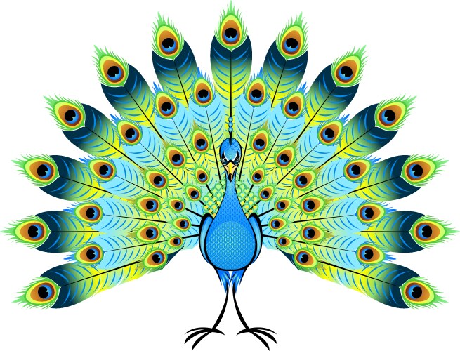 Peacock Cartoon Vector Images (over 3,600)